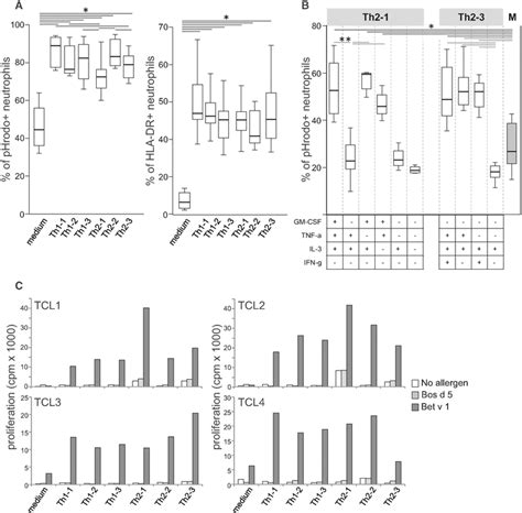 T‐cell‐derived Cytokines Induce Antigen‐presenting Activity Of
