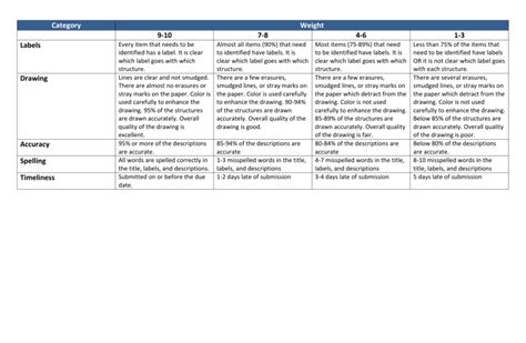 Drawing Rubric Assessment Criteria