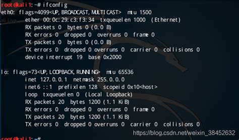 Linux 命令篇 之 Kali的ip和dns配置kali Linuxcnsd Csdn博客
