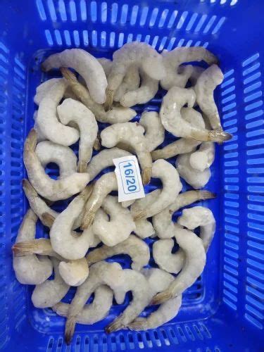White 16 20 Pdto Vannamei Frozen Prawns Packaging Type Loose Freezer