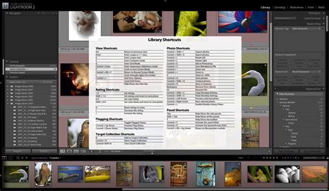 Lightroom Tips Keyboard Shortcuts Greg Disch Photography