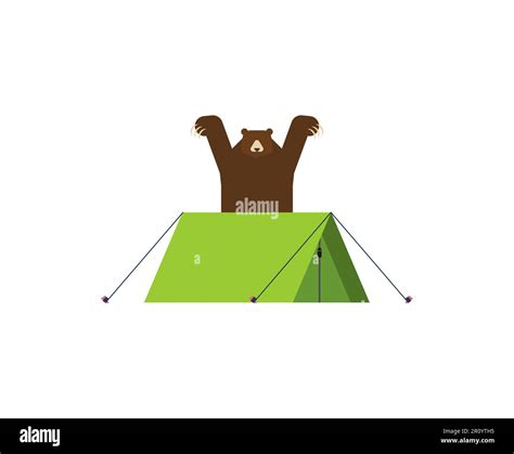 Bear And Camping Tent Angry Grizzly Scares The Tourist Stock Vector