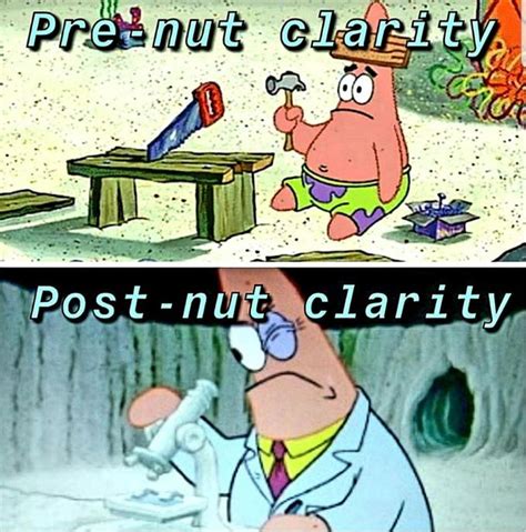 Why Cant I Always Have Post Nut Clarity Rbikinibottomtwitter