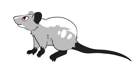 Rat Adopt Closed By Taboos Ghostlyadopts On Deviantart