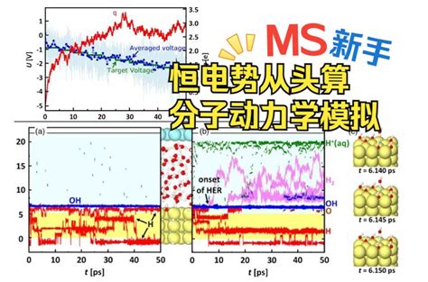 Ms新手实战教程21 恒电势从头算分子动力学模拟3 Materials Studio小白入门 理论计算 华算科技 Ms杨站长 Ms杨站长