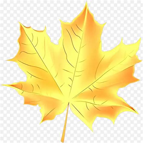 卡通 树叶 枫叶png图片素材下载图片编号6893789 Png素材网