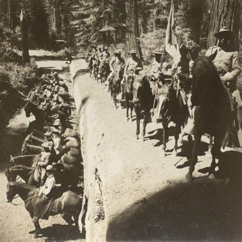 Buffalo Soldiers Made Their Mark In The Giant Sequoia Groves Save The