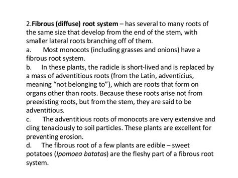 Roots