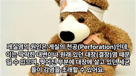 위장관 질환 게실염diverticulitis Youtube