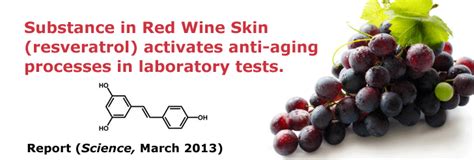 Resveratrol Anti Aging Discovery