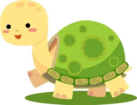 Tortoise Cdr Vectors Free Download 90 Editable Ai Eps Svg Cdr Files