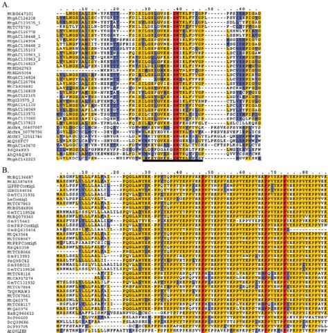 Motif Analysis Of Clustered Sequences Reveals Similarity To Download Scientific Diagram