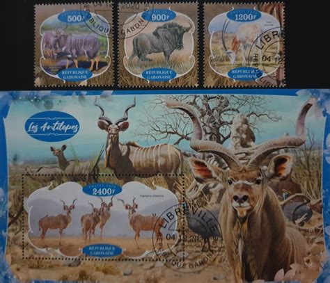 T 0251 Seria Bl Fauna Ssaki Niska Cena Na Allegro Pl