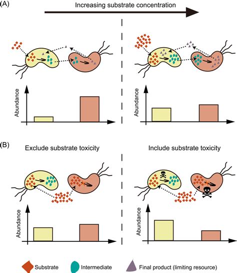 Hypothesis For How Substrate Concentration And Toxicity Govern The Download Scientific Diagram