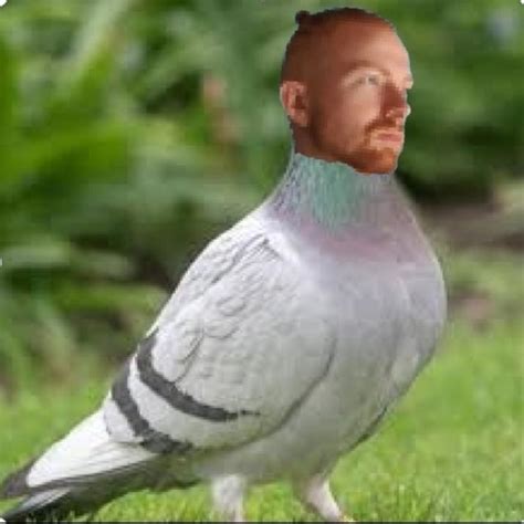 Daryl Ward Lyrics Songs And Albums Genius