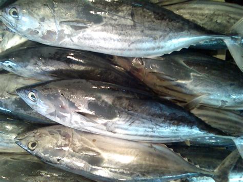 Allergy At Rashes Pagkatapos Kumain Ng Isda Mediko PH