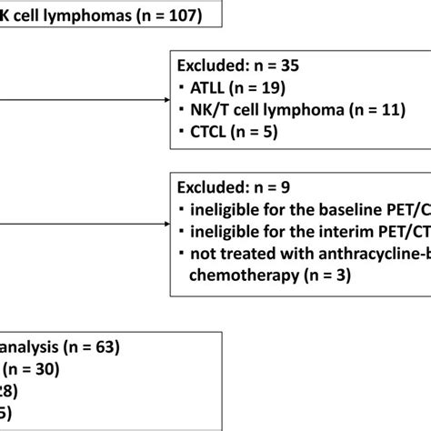 Flow Diagram Of Patient Selection AITL Angioimmunoblastic Tcell
