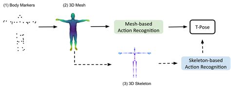 [2303 18177] Stmt A Spatial Temporal Mesh Transformer For Mocap Based Action Recognition