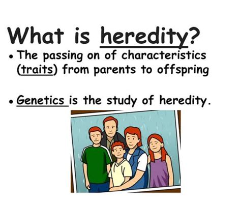 Laws Of Heredity In Educational Psychology Educational Psychology