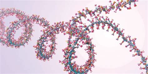 LC MS MS Method Package For Modified Nucleosides Shimadzu Scientific Instruments