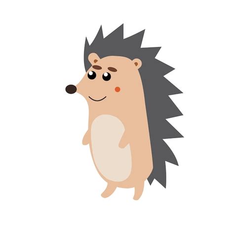 Premium Vector Vector Hedgehog Cartoon On White