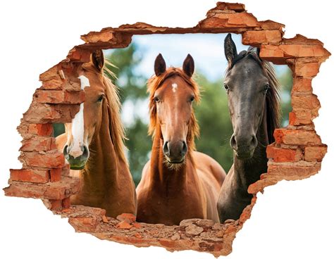 Trzy konie Dziura 3d fototapeta na ścianę WallMuralia pl