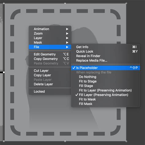 Using Snippets Fotomagico 6