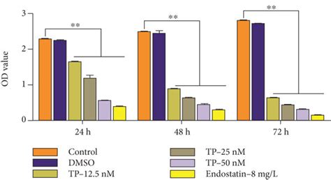 Tp Inhibited The Proliferation Migration Adhesion And Angiogenesis