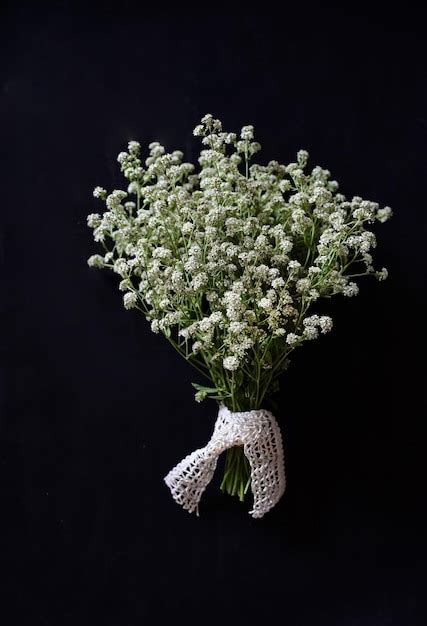 Premium Photo Gypsophila Isolated On Black Background Shallow Depth