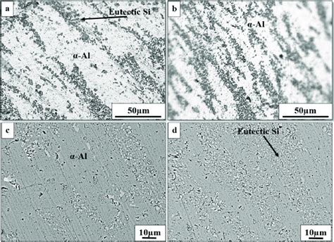 Optical And Sem Micrographs Of Ecaped A356 Alloy After 4 Passes A Download Scientific Diagram