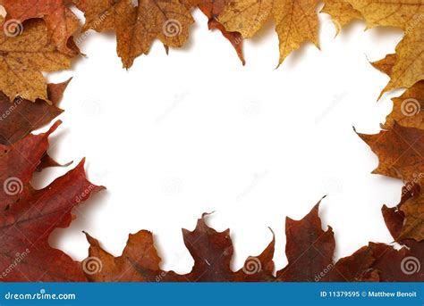 Maple Leaf Frame Stock Image Image Of Detail Decor 11379595