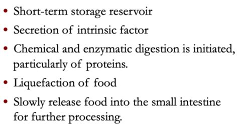 Lecture 18 Gastric Function Flashcards Quizlet
