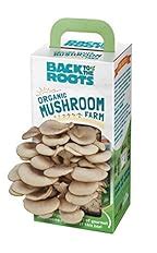 Psilocybin Mushroom Growing Kit