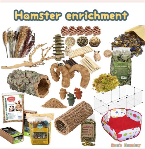 New Hamster Not Eating Her Pellets R Hamsters