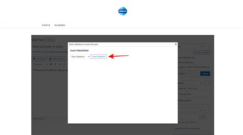 Wordpress Create Metaslider Slideshows On The Frontend