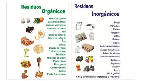 Cuales Son Los Residuos Organicos Image To U