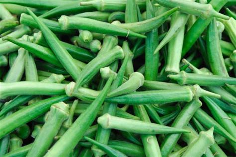 How Deep To Plant Okra Seeds 6 Steps For Amazing Okra Peppers Home