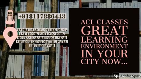 American Communication And Linguistic Classes For Professional