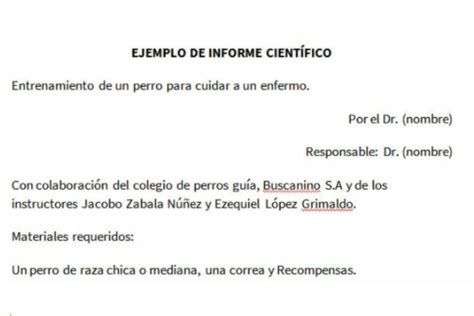 Ejemplos De Empresas Individuales Exitosas Claves Para Triunfar