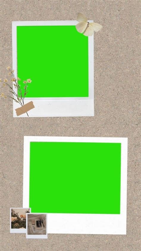 Pin By Ajita Shrivastava On Greenscreen Aesthetic Green Screen Video