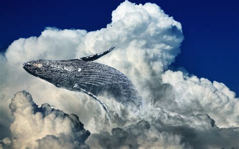 20 docker security tools compared