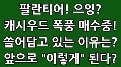 팔란티어 테크놀로지 주식 주가 전망 Tqqq Soxl Tmf 테슬라 니콜라 아이온큐 루시드 플러그파워 조비 에비에이션 소파이