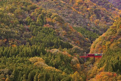 仙山線 奥新川作並 鉄道ホビダス