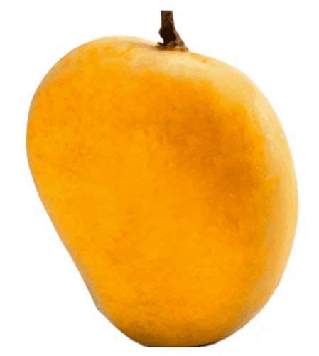Yellow Fresh Alphonso Mango Loose At Rs 200kg In Ahmedabad Id