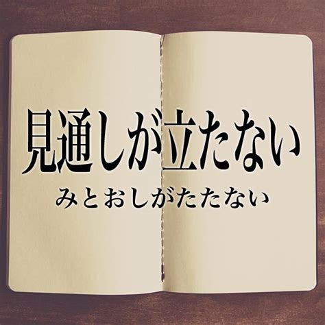「見通しが立たない」とは？意味や類語！例文や表現の使い方！ Meaning Book
