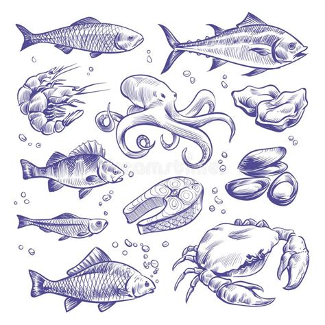 Los Mariscos Dan Dibujado El Pulpo Del Calamar De La Langosta De Los