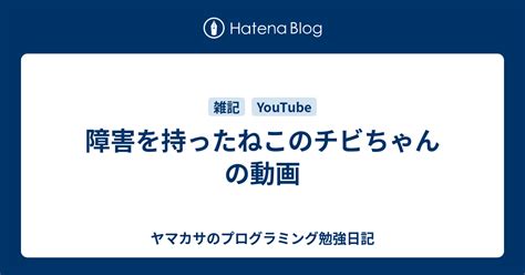 障害を持ったねこのチビちゃんの動画 ヤマカサのプログラミング勉強日記