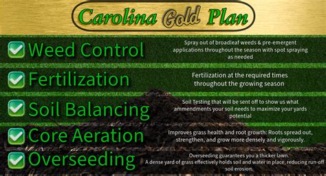 Lawn Fertilization Matthews Weddington And Ballantyne Nc Carolina