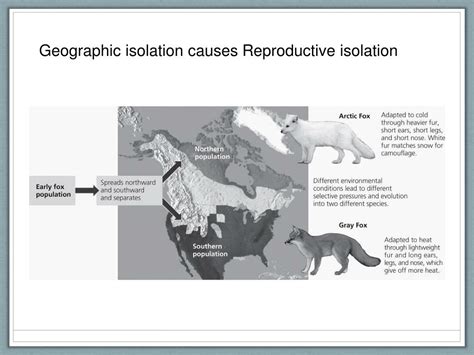 Ppt Selection Causes Microevolution Powerpoint Presentation Free