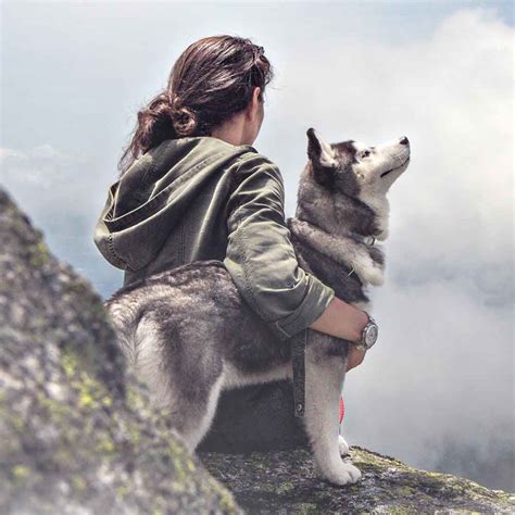 NEKMAR PET NUTRITION SRBIJA | Hrana za pse